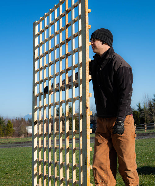 Garden trellises – Spectrum Gardening